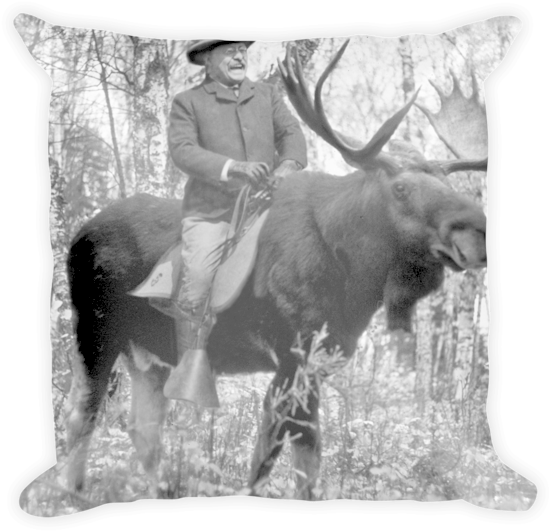 Teddy Roosevelt Bullmoose Pillow - Teddy Roosevelt Riding A Moose ...