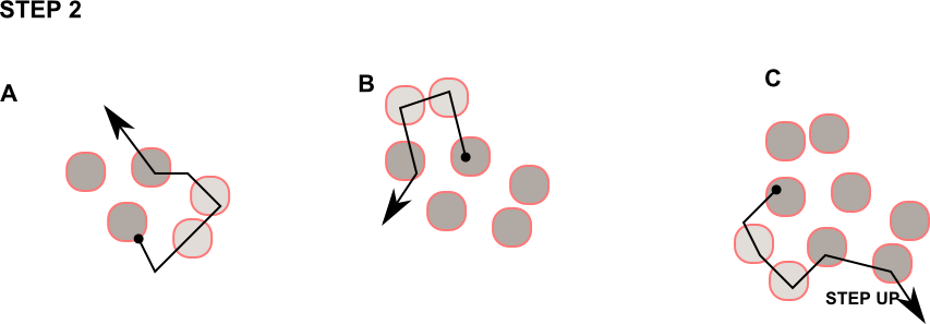 Step2 - Graphic Design (853x297), Png Download