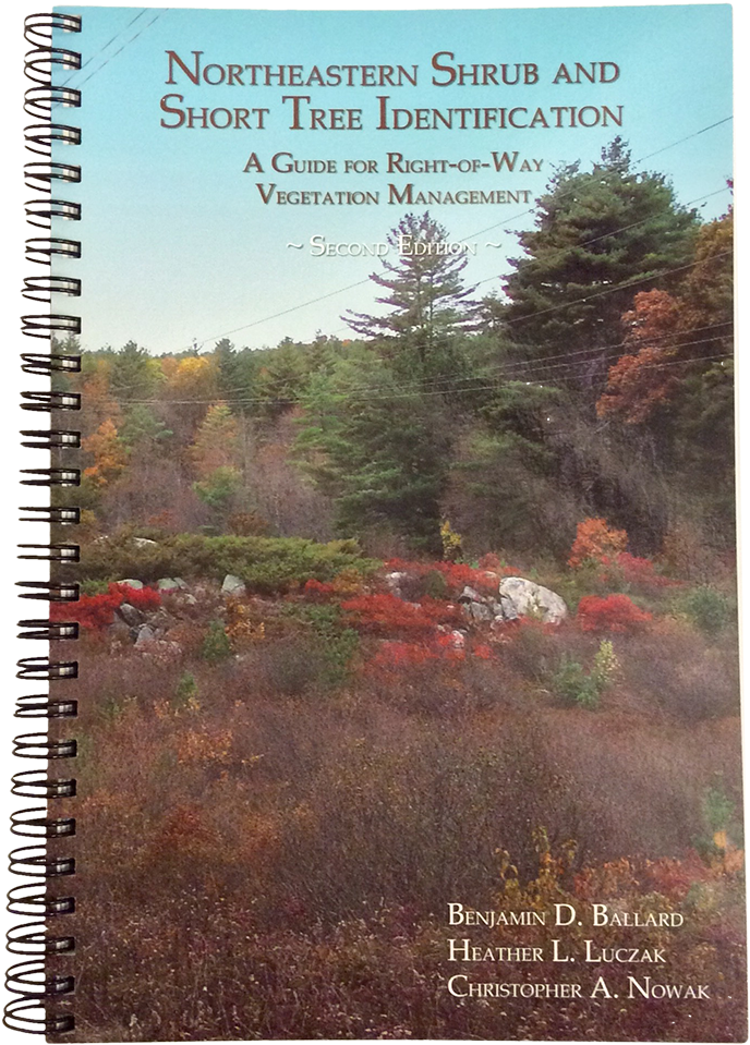 Northeastern Shrub And Tree Identification - Spiral (1000x1001), Png ...