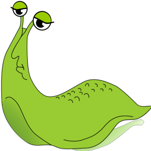 Download Slug | Transparent PNG Download | SeekPNG