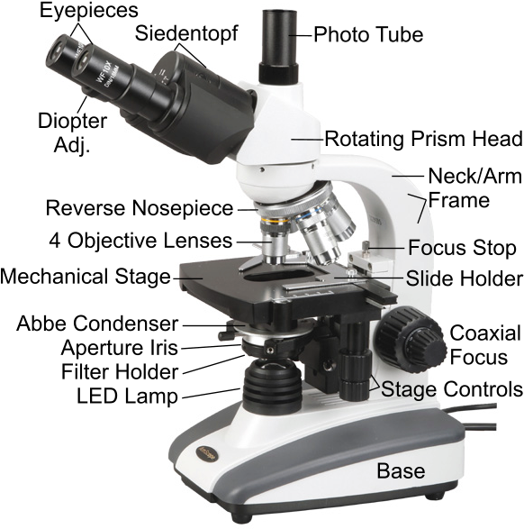 Microscope Parts Mechanical Stage (600x600), Png Download