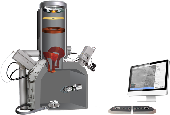 Intro How Does An Scanning Electron Microscope Work - Scanning Electron ...