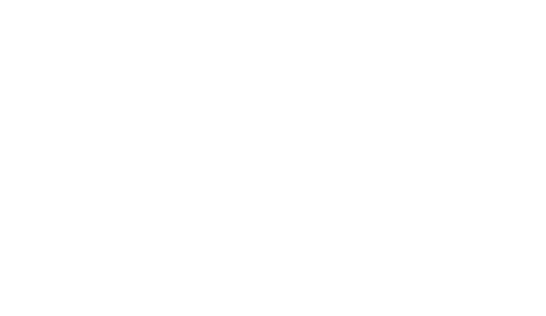 Download In 2017, New York Had A New Reason To Milly Rock And - Playboi ...