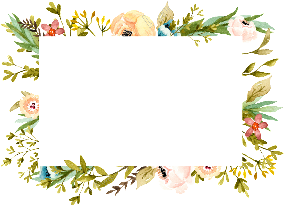 Plant Border Png - Transparent Plant Border (1024x736), Png Download