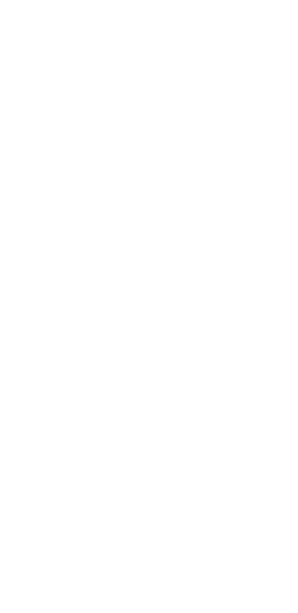 Download Feedback July - Tottenham Hotspur Logo White Png | Transparent ...