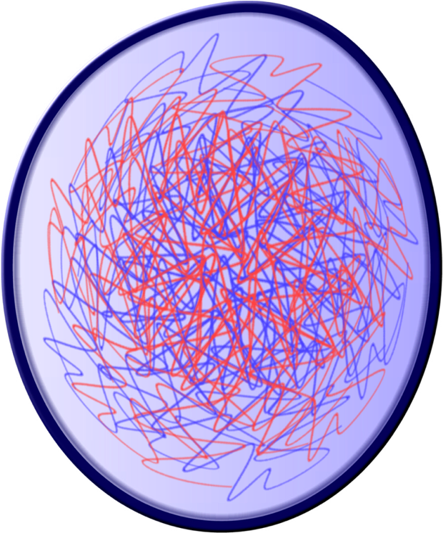 Download Nucleus, Mitosis, Eukaryotic Cell Division, Chromatin ...