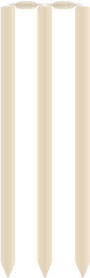 Download Cricket Stump Vector Png | Transparent PNG Download | SeekPNG