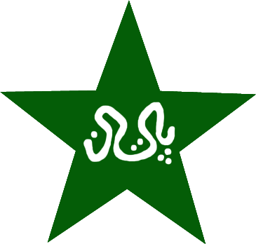 Pakistan Cricket Team Logo (365x348), Png Download