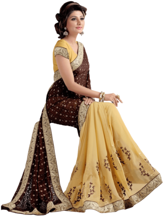 Download Women Brasso And Georgette Saree - Sari | Transparent PNG ...