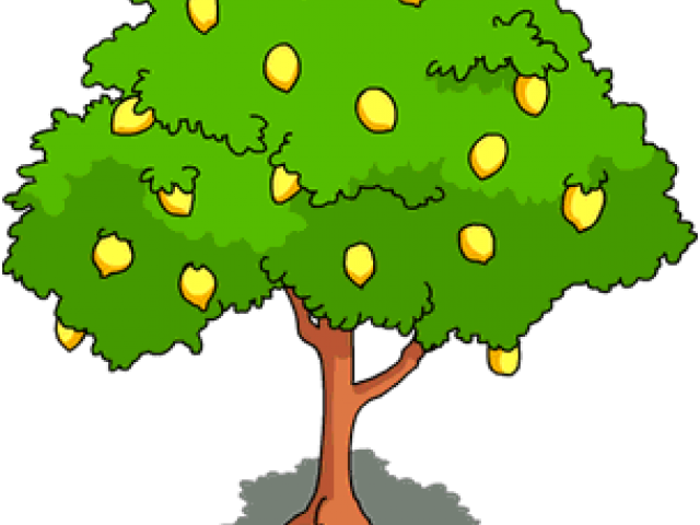Clip Art Lemon Tree (640x480), Png Download