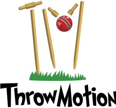 Download Throwmotion - Cricket Bat Ball Logo In Png | Transparent PNG Download | SeekPNG