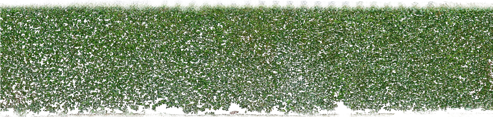 Background Png Hedges Hd Transparent - Transparent Background Hedges ...