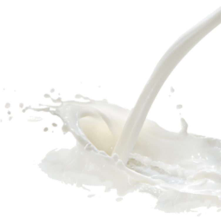 Download Free Png Milk Png Images Transparent - Milk | Transparent PNG ...