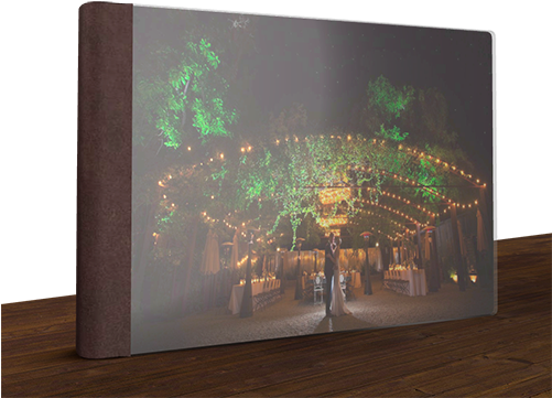 Sample Album One - Tree (500x500), Png Download