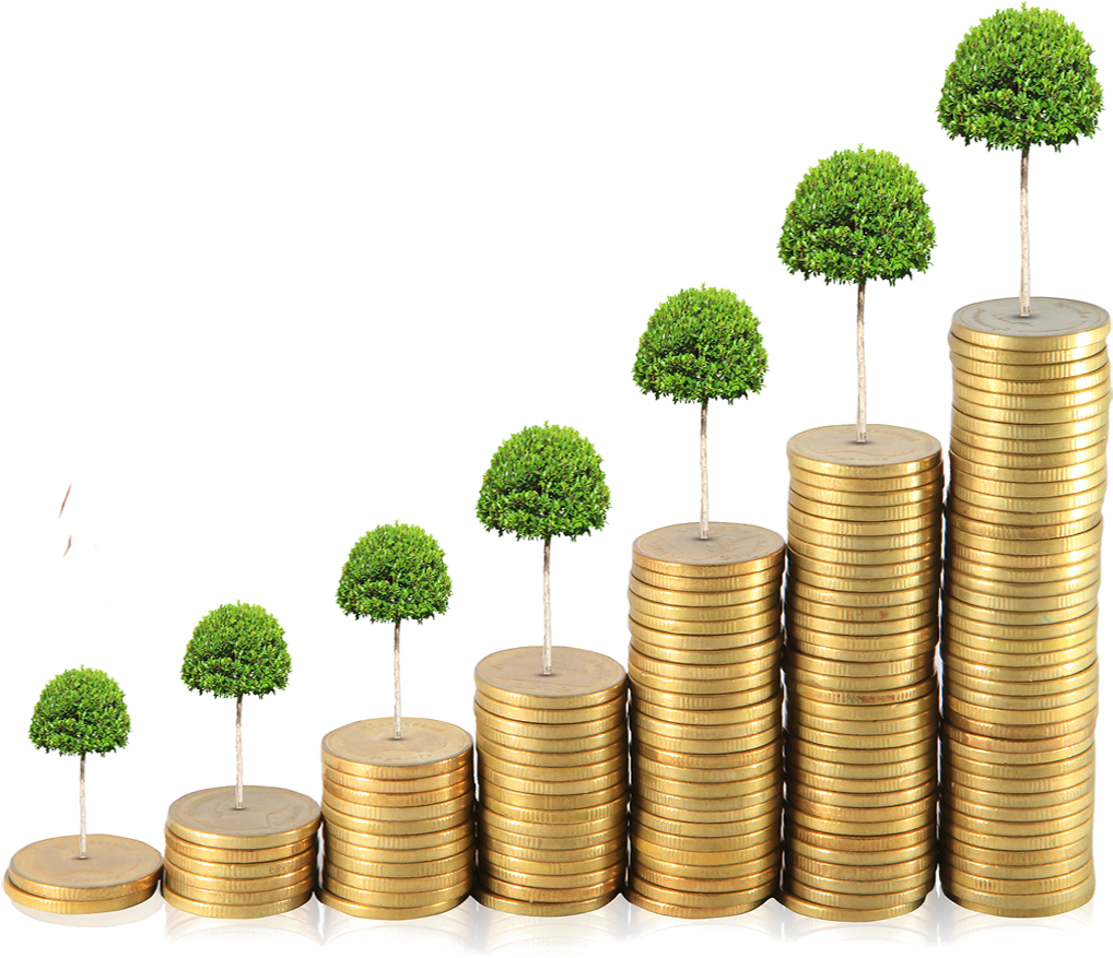 Growing Your Money - Book On Money Management: Learn The 3 Secrets To ...