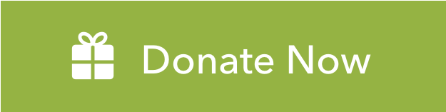 Green Donate Now Button (800x200), Png Download