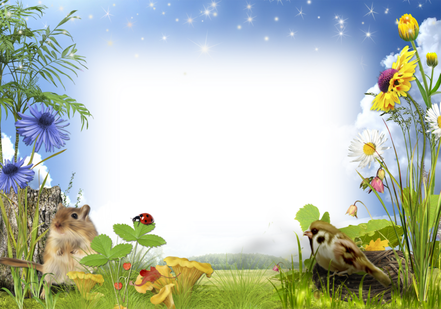 Download Frame Photo Nature Png Clipart Picture Frames - Nature Photo ...