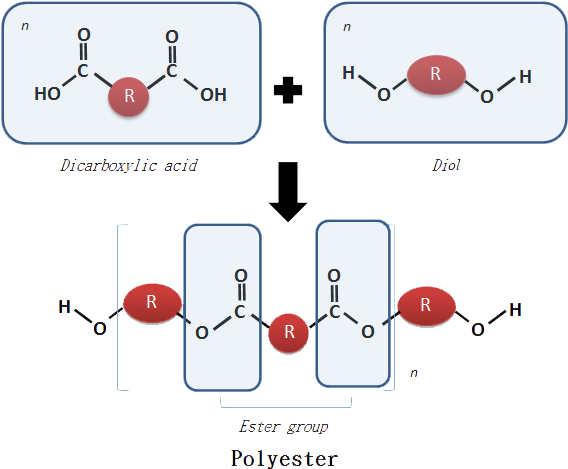 Polymerization Reaction Of Polyester Polyol - Graphic Design (583x484 ...