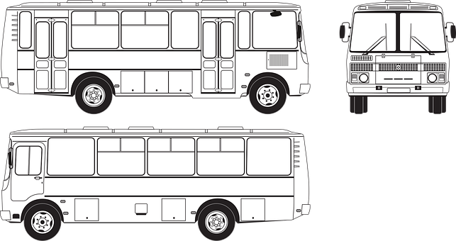 Passenger Groove Bus Groove 33025 Passenge - Bus (643x340), Png Download