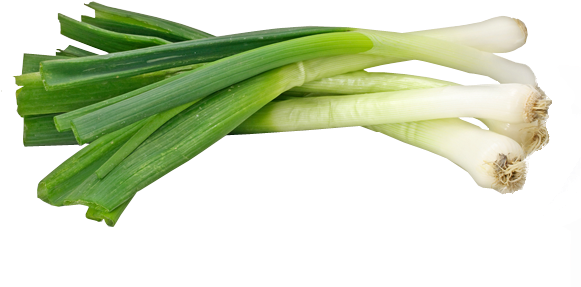 Spring Onions - Onions (600x600), Png Download