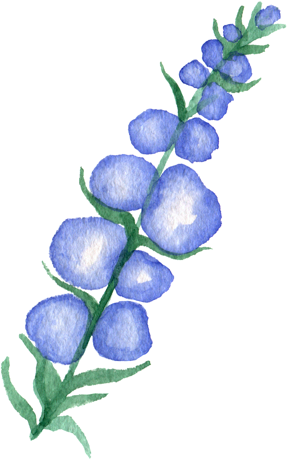 Blue (1024x1612), Png Download