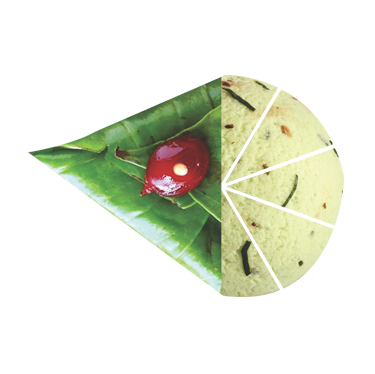 Potfolio Item - Paan (400x393), Png Download