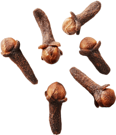 Download Cloves - Cloves Png | Transparent PNG Download | SeekPNG