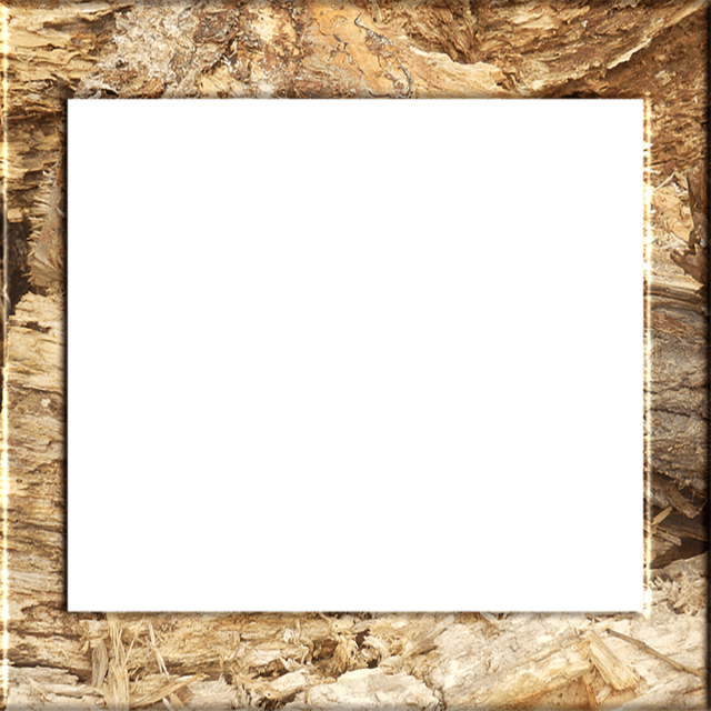 Download Frame Border Hd Free, Border, Image, Png Png And Vector ...