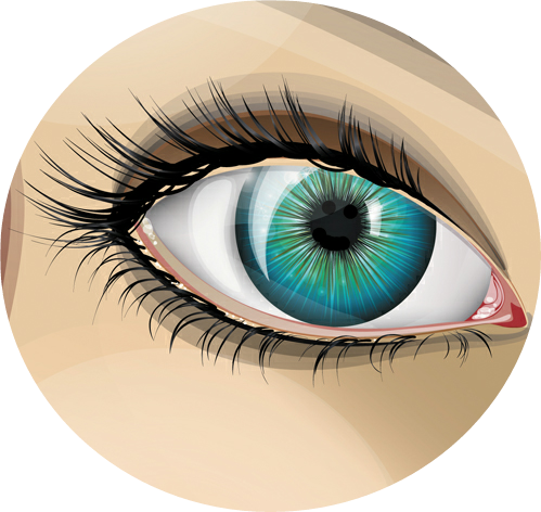 Download Eye Vector Eyeart Eyelashes Pupil Blueeyes - Vector Graphics ...