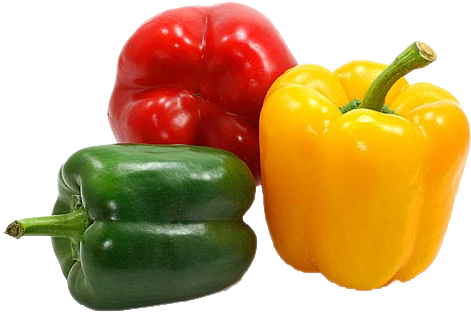 Download Pepper “capsicum” - Capsicum Vegetable | Transparent PNG ...