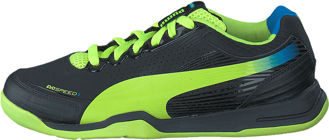Download Puma Evospeed Indoor - Running Shoe | Transparent PNG Download ...