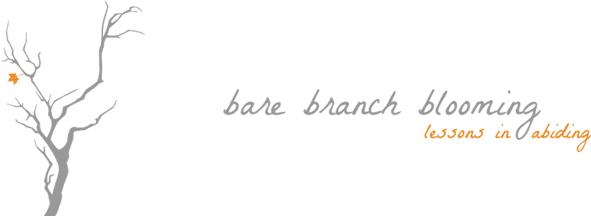 Bare Branch Blooming - Blooming May (960x320), Png Download