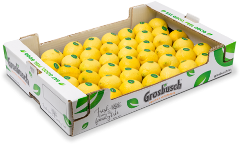 Top-quality, Fresh Fruit And Vegetables - Fresh Fruit Brands (500x311 ...