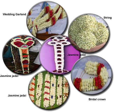 Veni Making - Cross-stitch (452x440), Png Download