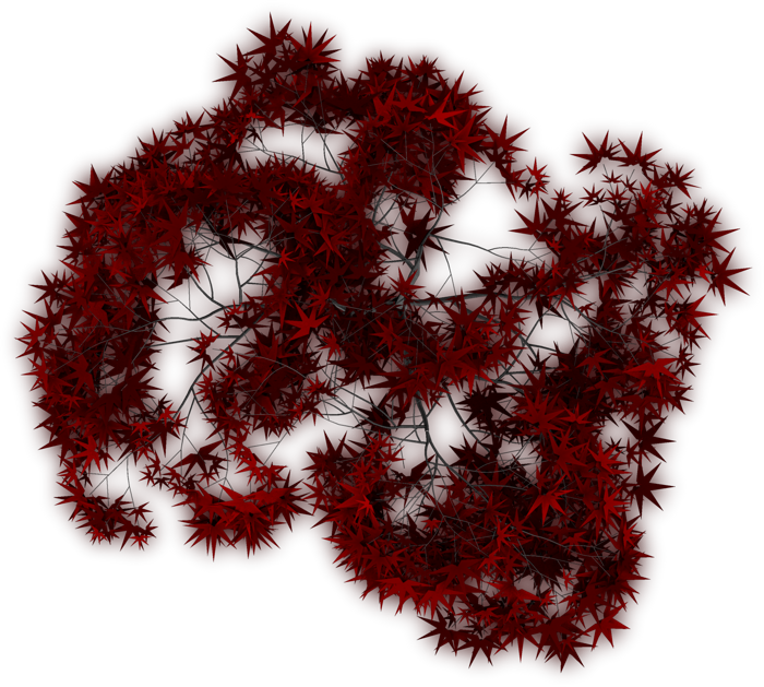 Tree Top View Png For Kids - Illustration (700x629), Png Download