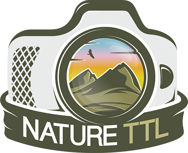 Download Dslr Camera Logo, About Camera - Nature Photography Png ...