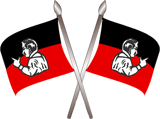 Download All India Anna Dravida Munnetra Kazhagam Flag | Transparent ...