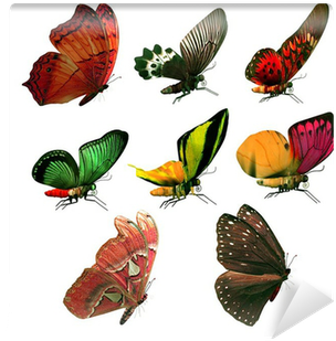 Butterfly Side View (400x400), Png Download