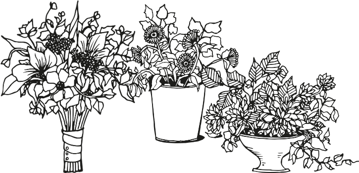 Sol Flower Designs Is Excited To Be Your Choice For - Illustration ...