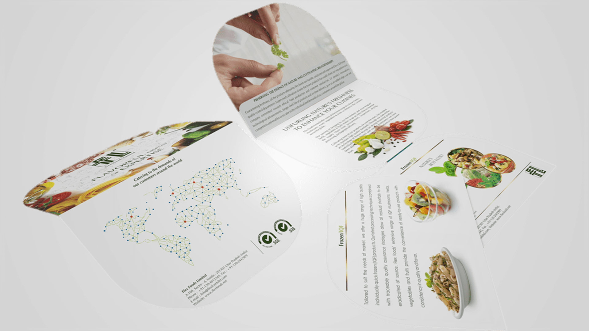 Download Flex Brochure Flex Brochure - Brochure | Transparent PNG ...