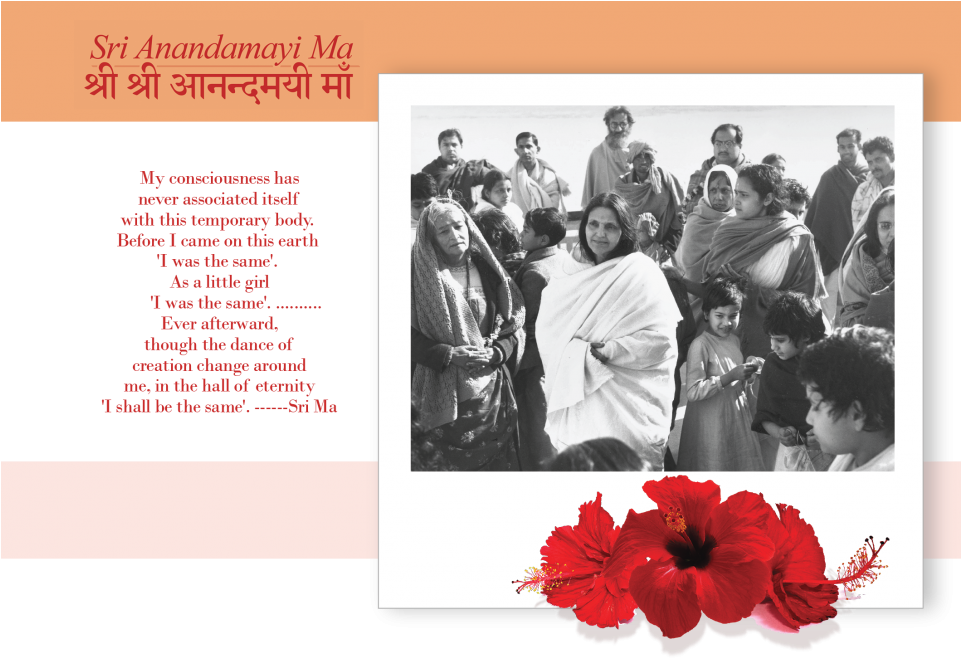 Animation (960x672), Png Download