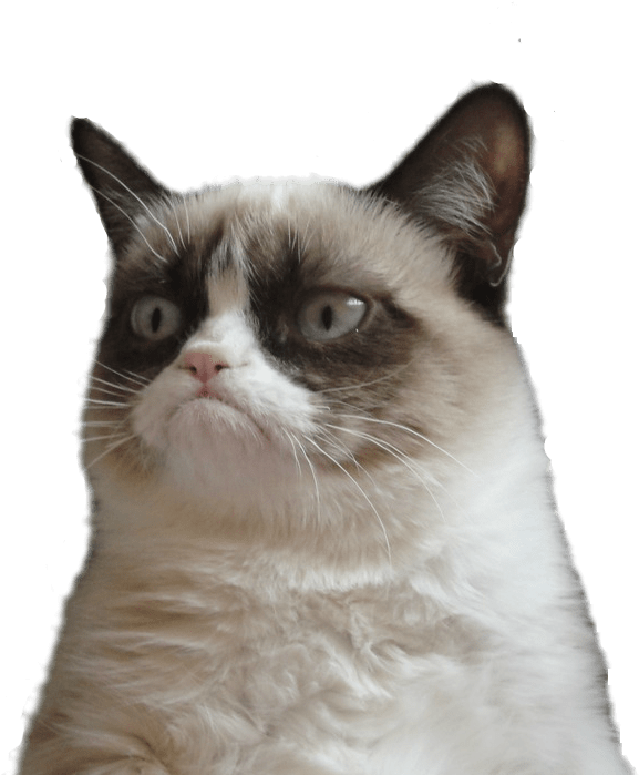 Download Grumpy Cat Clipart Transparent - Grumpy Cat Meme Png ...