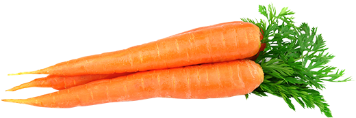 Carrots Png Juicy - 1 Medium Carrot (550x243), Png Download