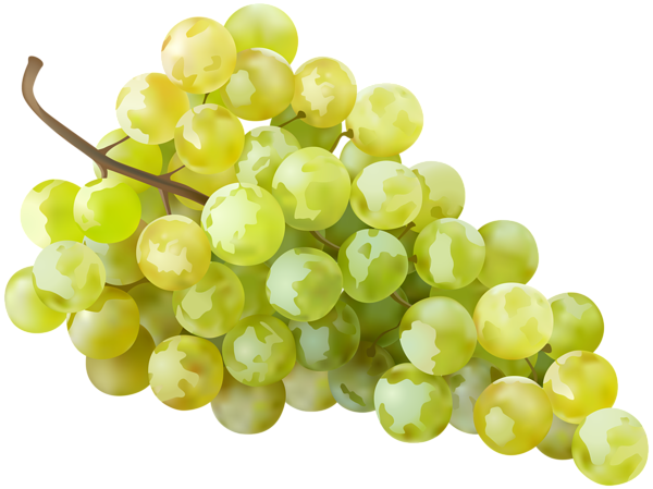 Grape White Transparent Clip Art Image - Green Grapes Transparent ...