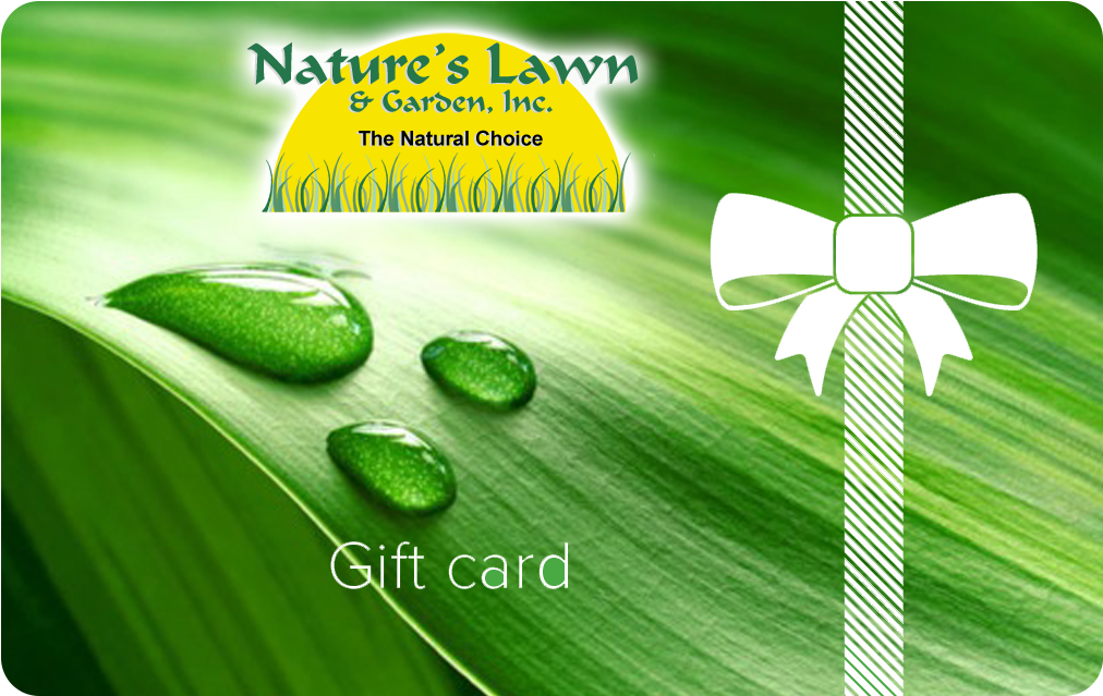 Gift Card - Seg 19 Inch Led Tv (1011x1011), Png Download