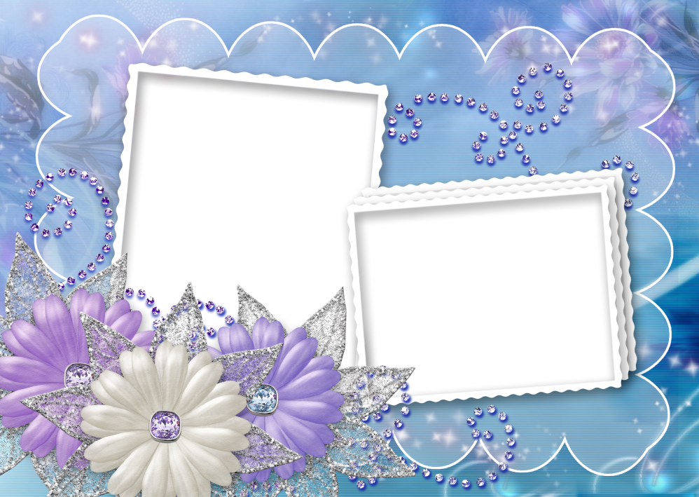 Download Picture Frame | Transparent PNG Download | SeekPNG