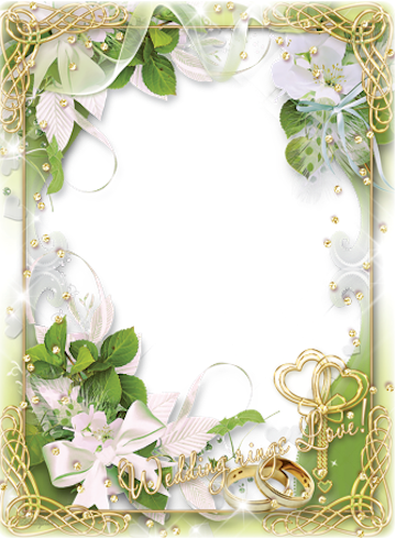 Download Wedding Photo Frames - Transparent Photo Frames Png Hd ...