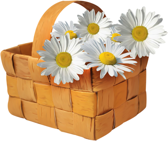 Transparent Basket Clip Art (600x503), Png Download