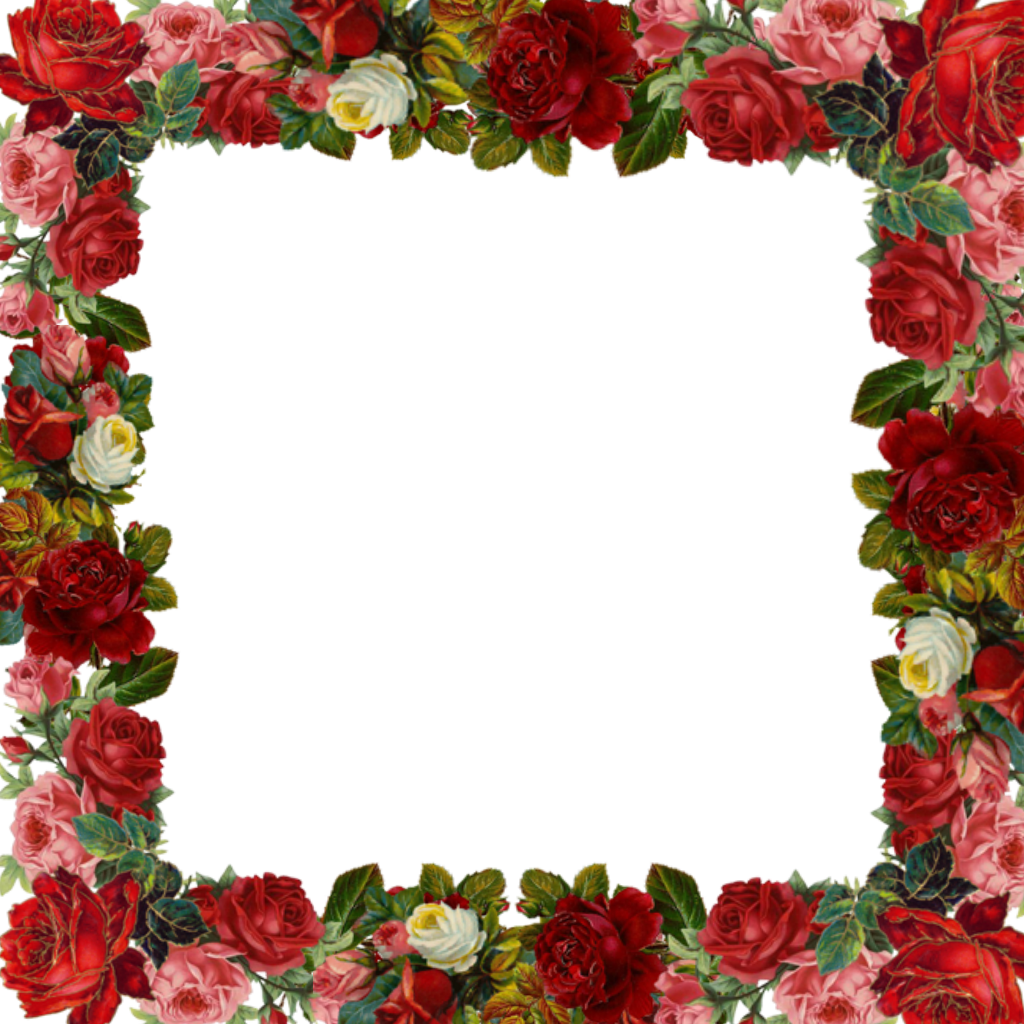 Flowers Frame Flowerframe Aesthetic Roseframe Rose - Bea's Random ...