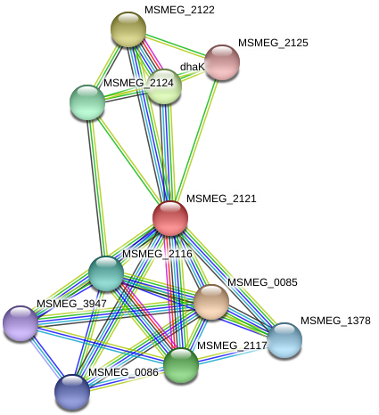 Download Network - Diagram | Transparent PNG Download | SeekPNG
